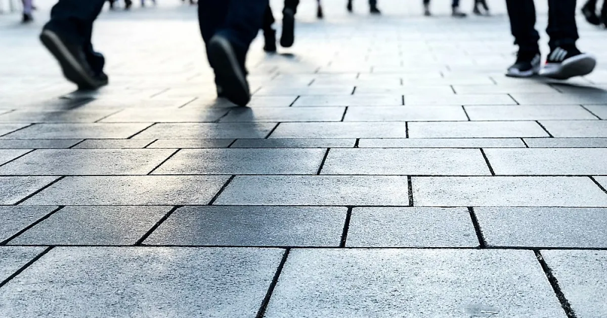 How to streamline visit plan management in your New Zealand